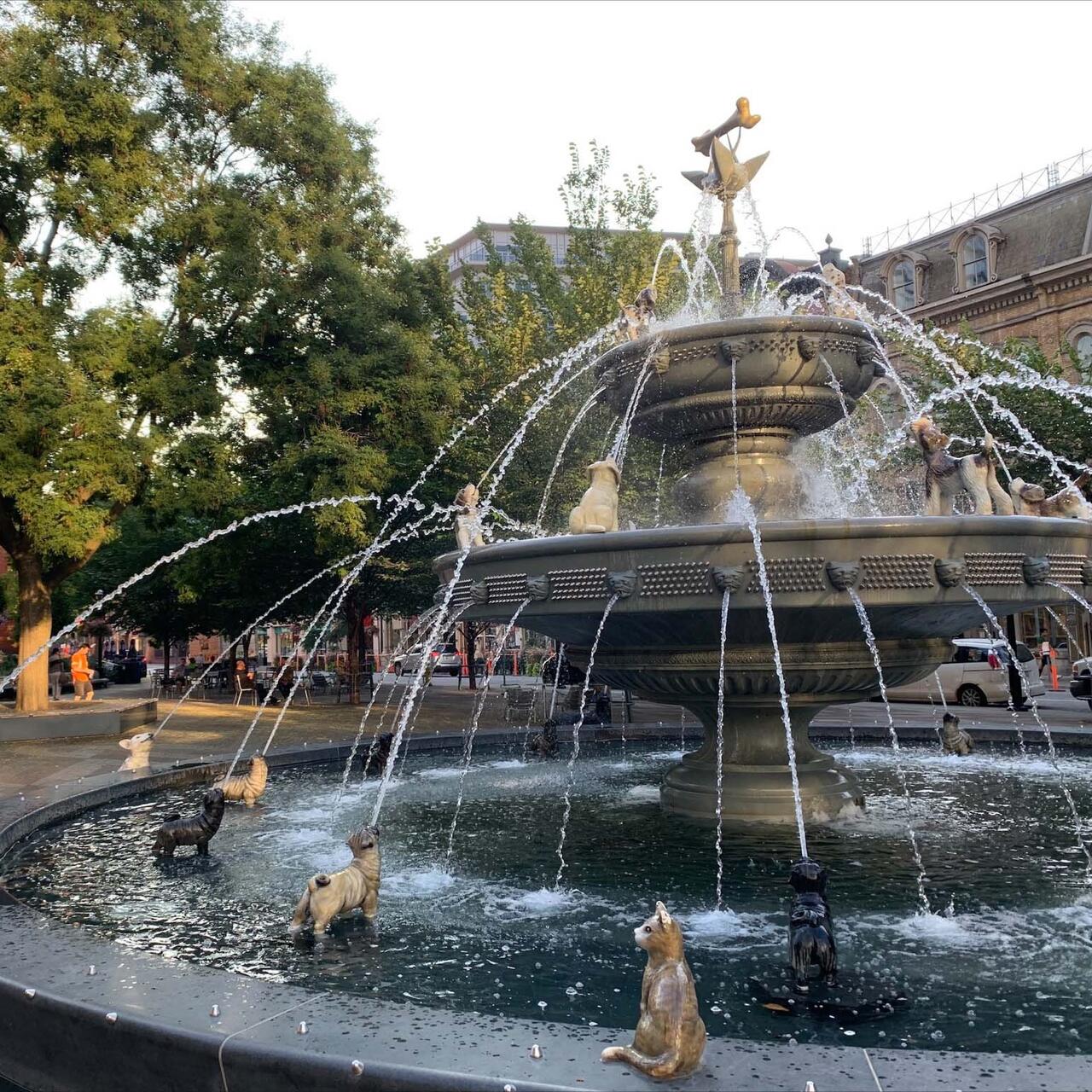 Berczy Park Wins the Canadian Society of Landscape Architects’ 2018 ...