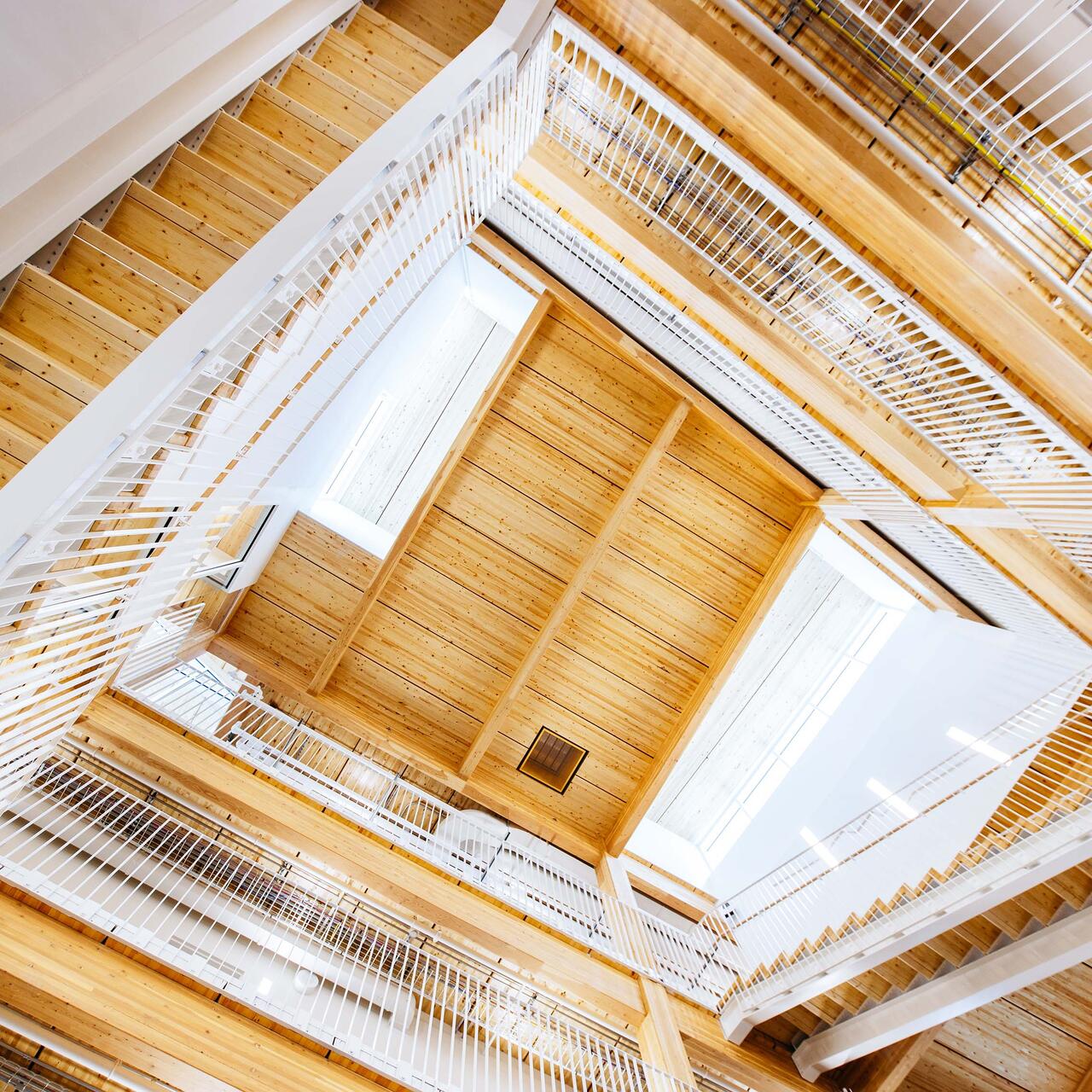 Supporting Heavy Timber Buildings through Sustainable Mechanical ...