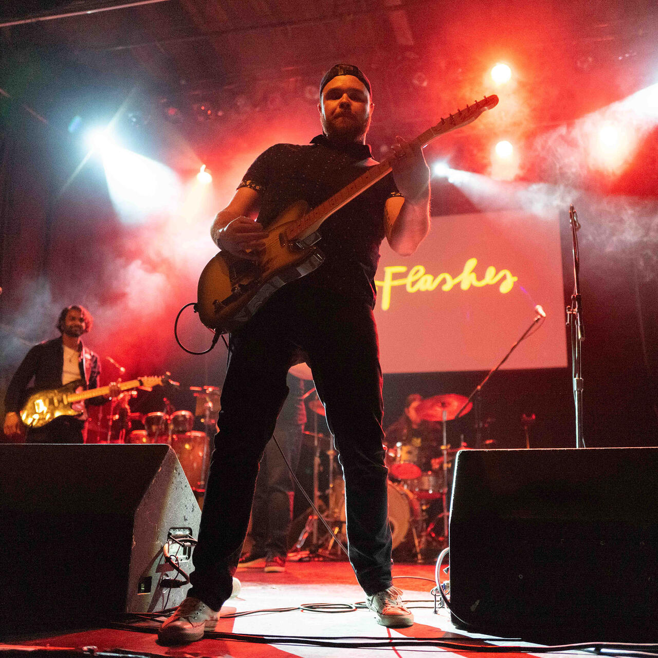 Eco Jam 2024: Rock Toronto, Plant Trees